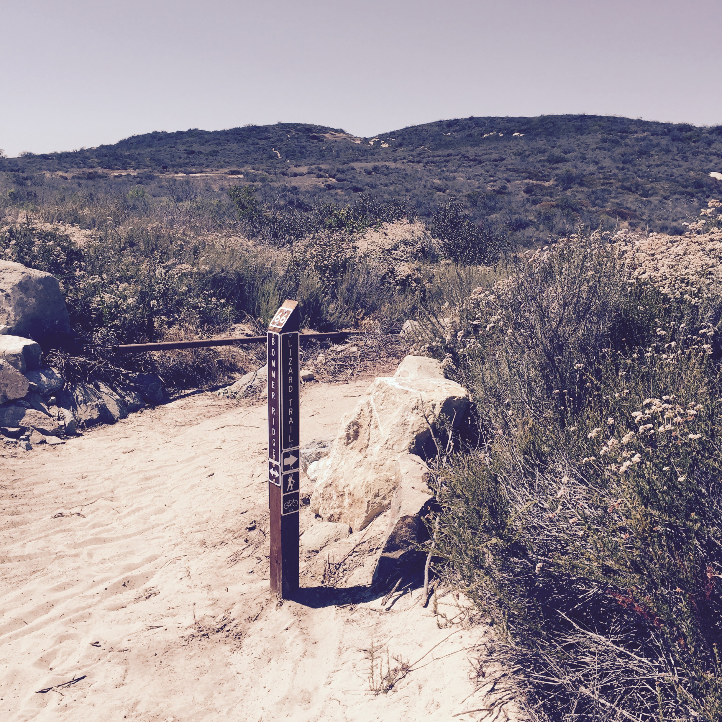 Trails Update: Lizard Trail - Laguna Canyon Foundation