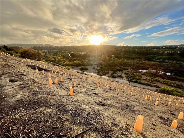 Project Spotlight: Wildlife Conservation Board Project - Laguna Canyon ...