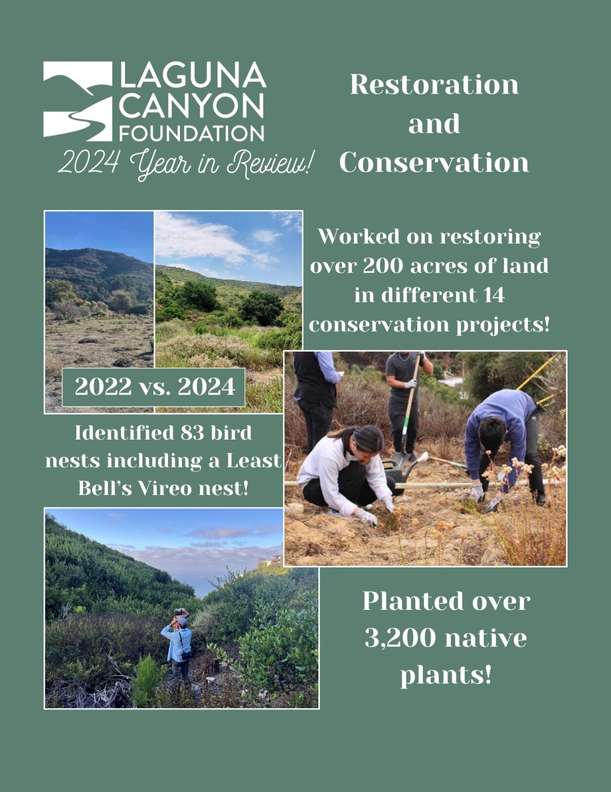 Laguna Canyon Foundation’s 2024 Year in Review – Laguna Canyon Foundation