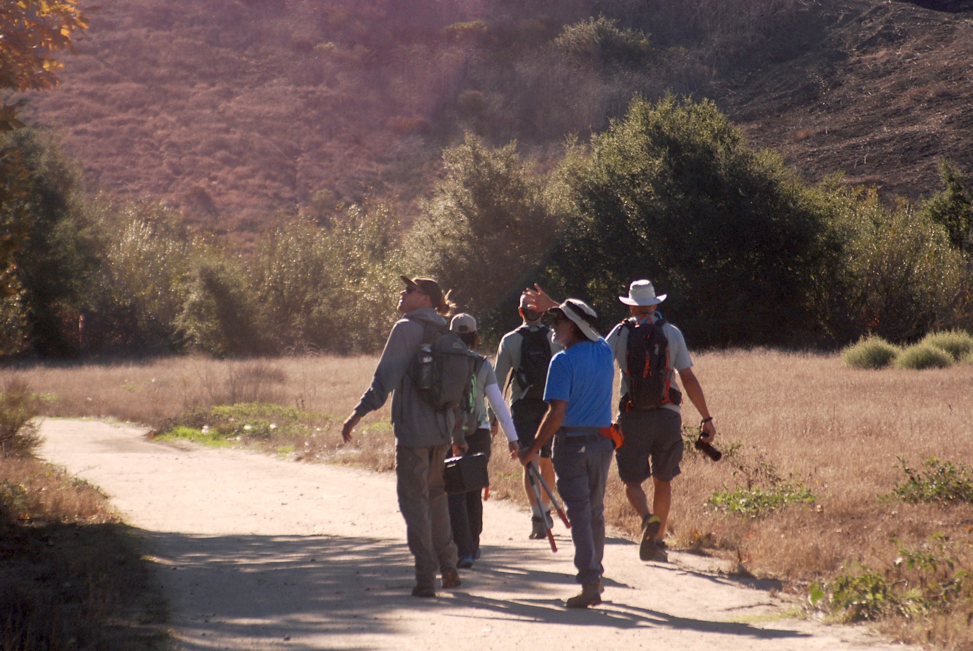 Invasive plant patrol 101718 ALWO – Laguna Canyon Foundation