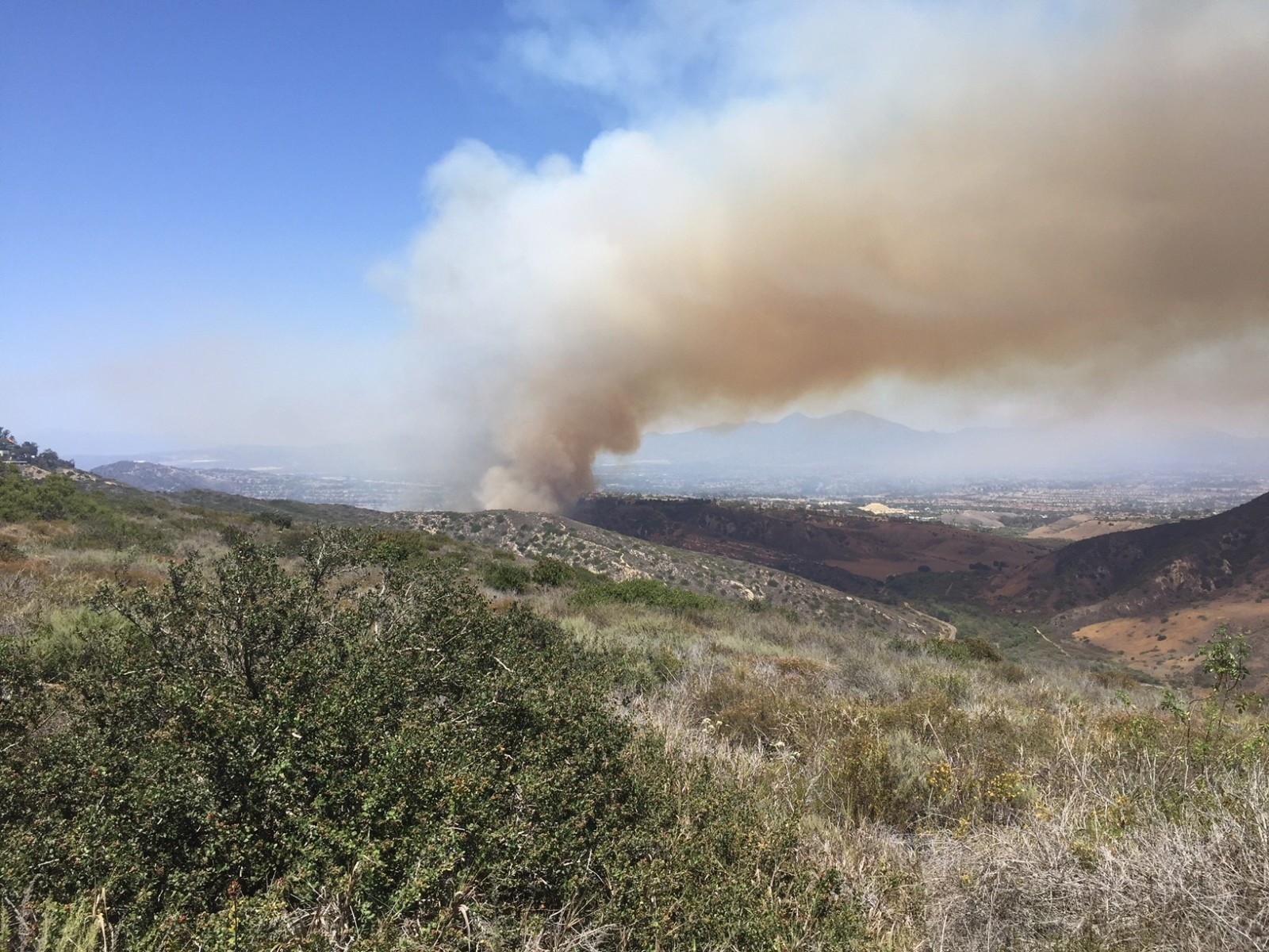 Balancing Fire Ecology and Fire Safety – Laguna Canyon Foundation