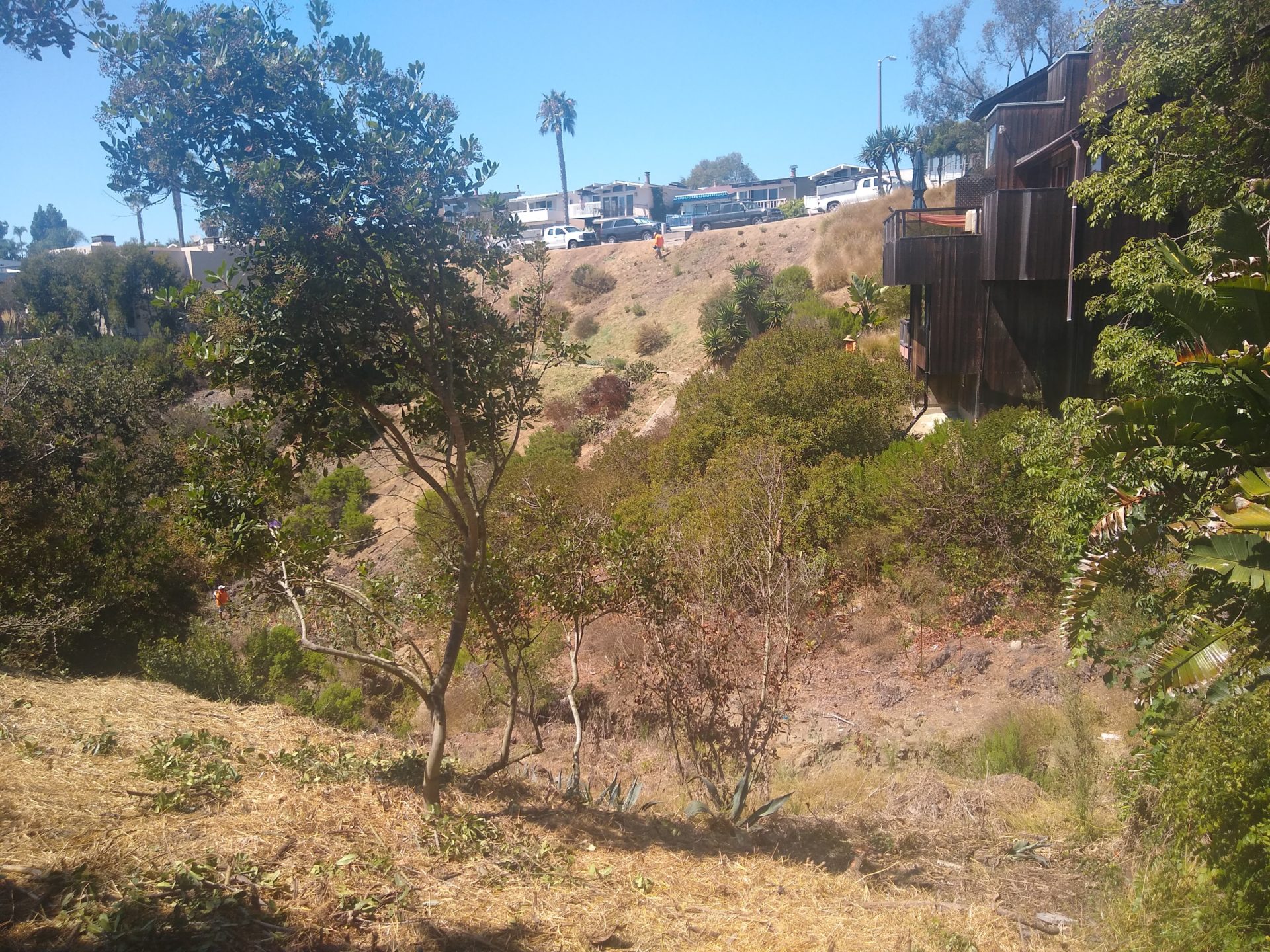 workers below Del Mar – Laguna Canyon Foundation